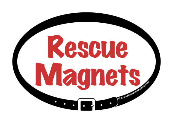 rescue-magnets-title
