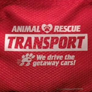 Animal Rescue Transport Bag + Free 4″x6″ Transport Magnet or Decal