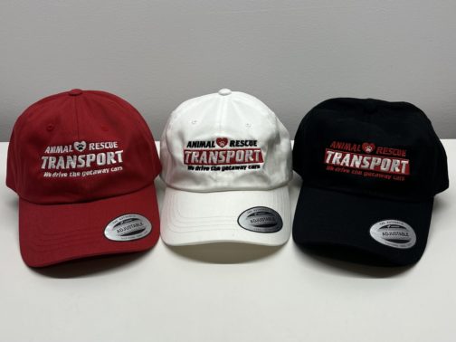 Animal Rescue Transport Hat